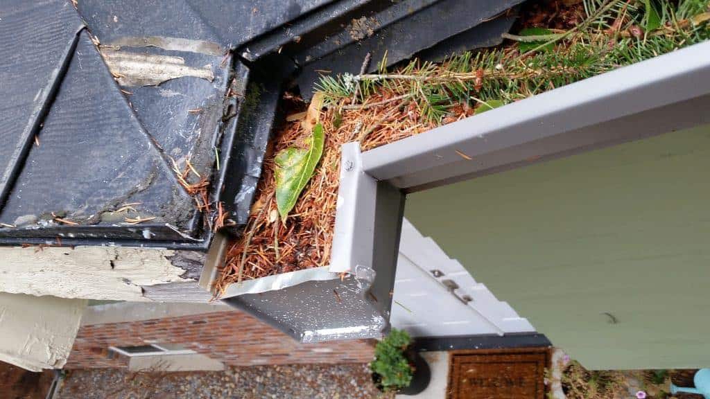 Trusted Seamless Gutter Solutions for Every Season - Double J Seamless ...